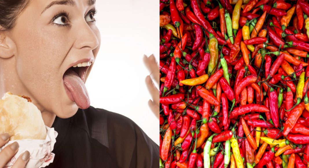 Tip Pilih Awning Untuk Kediaman, Ada 9 Jenis. Boleh Guna Info Ini Untuk ...