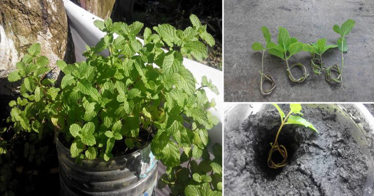 Tip Untuk Yang Berazam Beli Rumah Pertama Tahun 2020! - Vanilla Kismis Tip Untuk Yang Berazam Beli Rumah Pertama Tahun 2020! - Vanilla Kismis