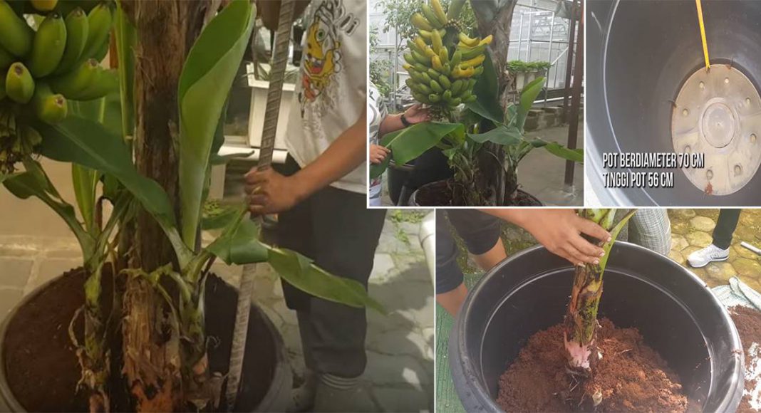 DIY Panel TV Untuk Sorok Wayar Berselirat Supaya Ruang Nampak Kemas ...