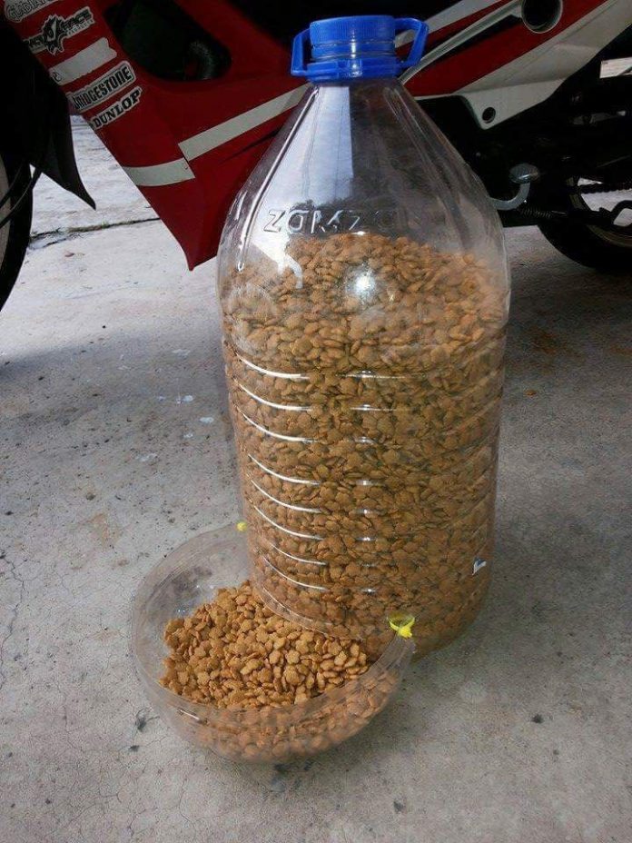 DIY Cat Feeder Untuk Kucing Jalanan Belakang Rumah. Guna Botol Air ...