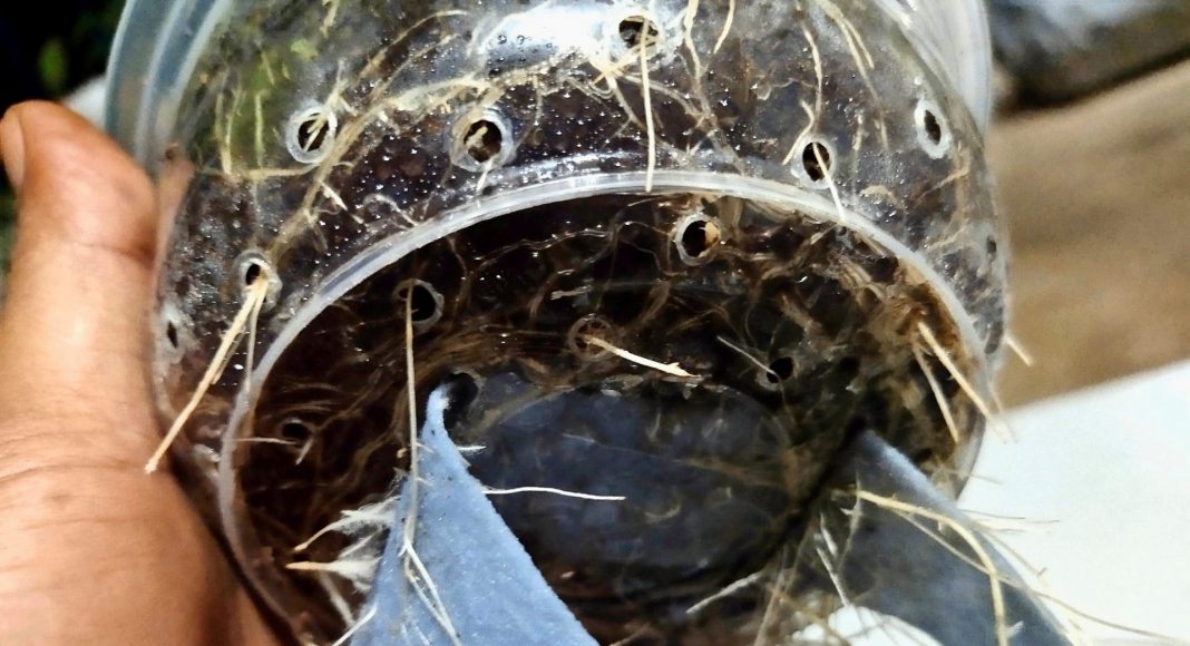 DIY Panel TV Untuk Sorok Wayar Berselirat Supaya Ruang Nampak Kemas ...