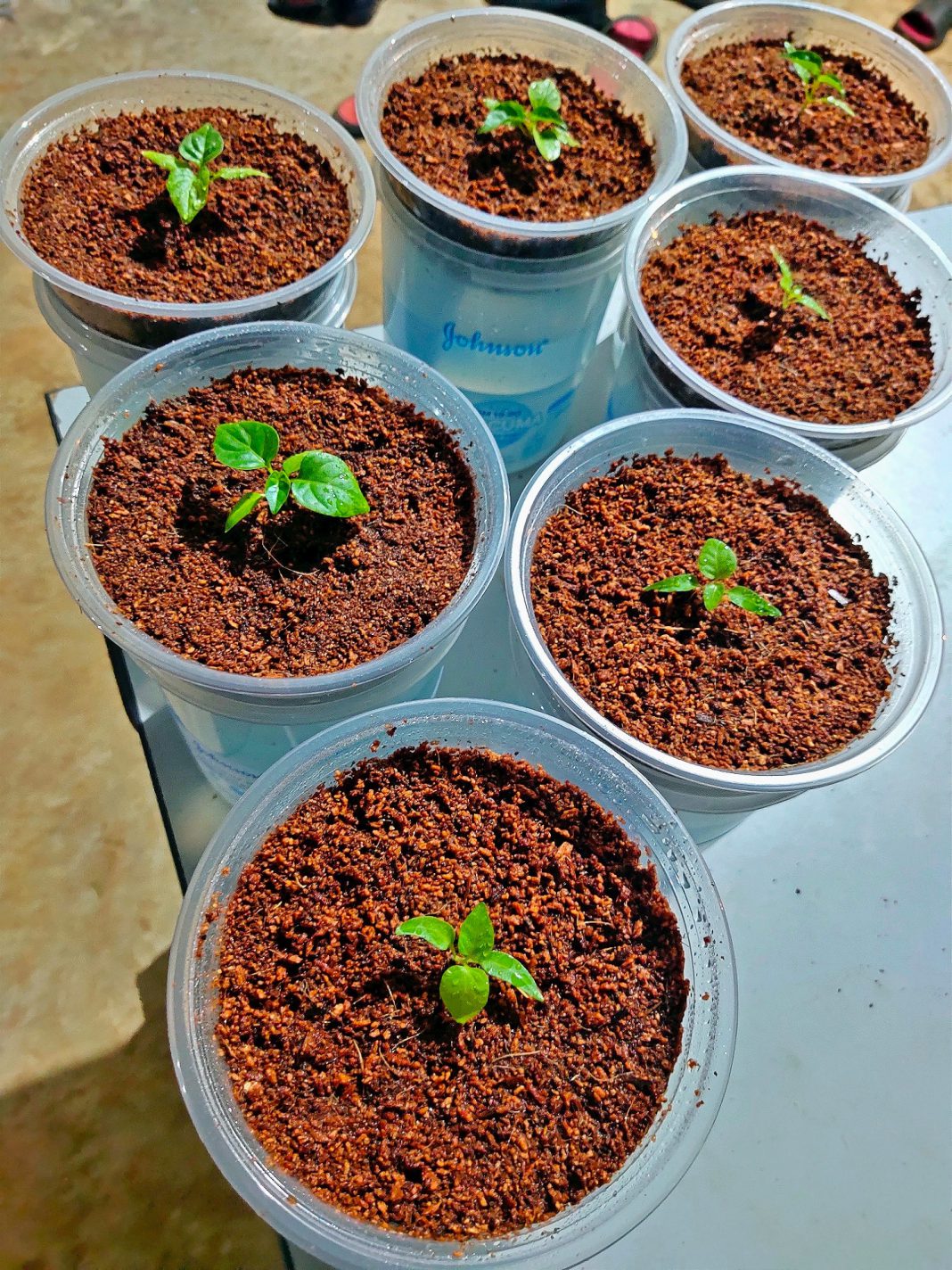 DIY Panel TV Untuk Sorok Wayar Berselirat Supaya Ruang Nampak Kemas ...