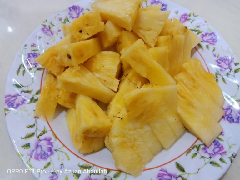 Buat Sendiri Blueberry Cheesecake Modal Tak Sampai RM30 Dapat Sebiji ...