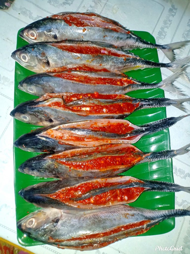 Ikan Cencaru Sumbat Pun Boleh Frozen, Stok Lauk Mudah. Ikut Tip Ini ...