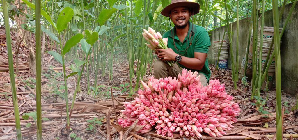 Cara Tanam & Jaga Pokok Kantan Yang Betul, Baru Subur & Banyak Bunga ...