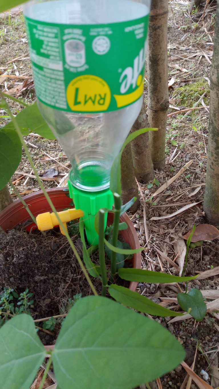 Kalau Asyik Lupa Siram Pokok, Boleh Buat Self Watering System Paling ...