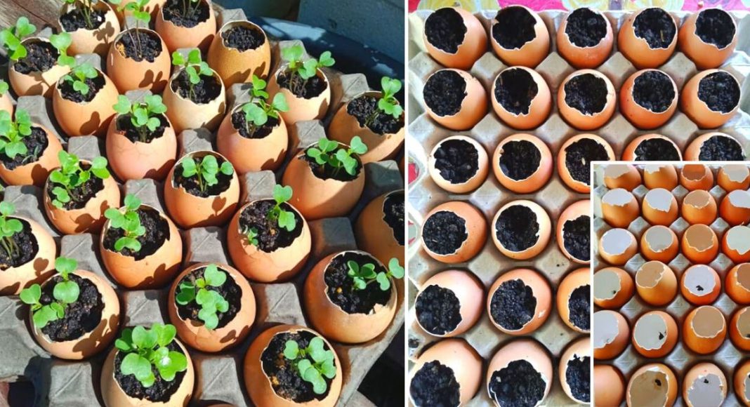 DIY Panel TV Untuk Sorok Wayar Berselirat Supaya Ruang Nampak Kemas ...