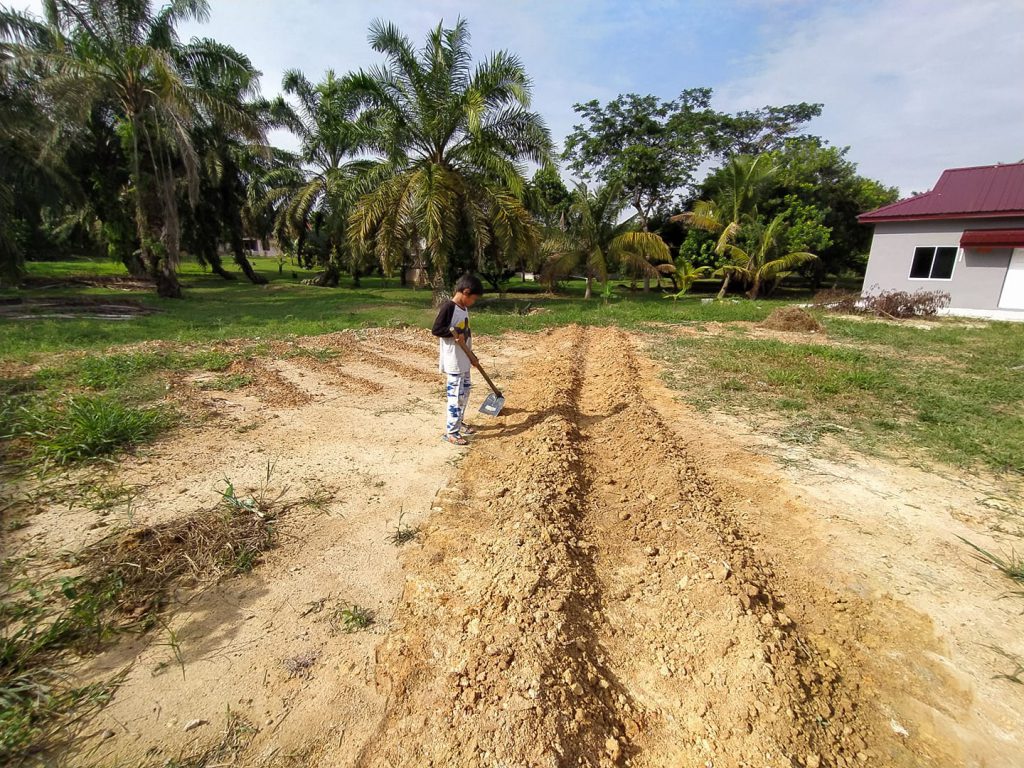 Tip Buat Batas Untuk Tanaman, Sebelum Cangkul Tanah Perhati Dulu ...