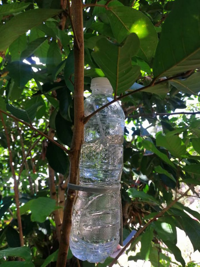 Cara Mudah Buat Nasi Impit. Masak & Tinggal, Keluar Seketul Cantik ...