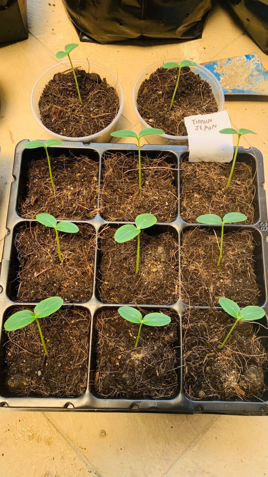 DIY Panel TV Untuk Sorok Wayar Berselirat Supaya Ruang Nampak Kemas ...