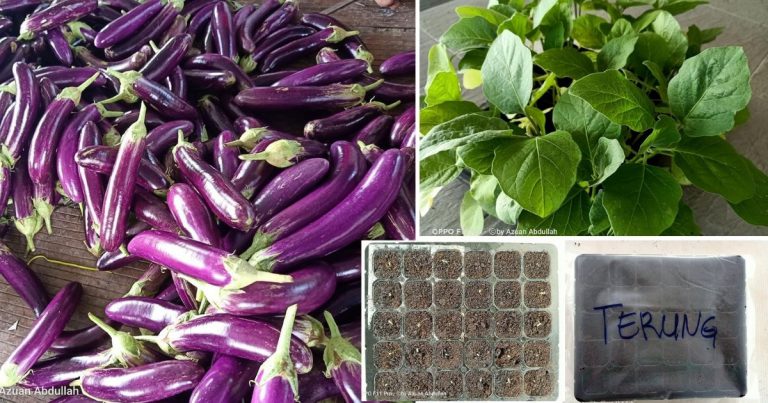 Panduan Sukatan Bancuh Simen Untuk Ikat Bata & Plaster Jika Nak Buat ...