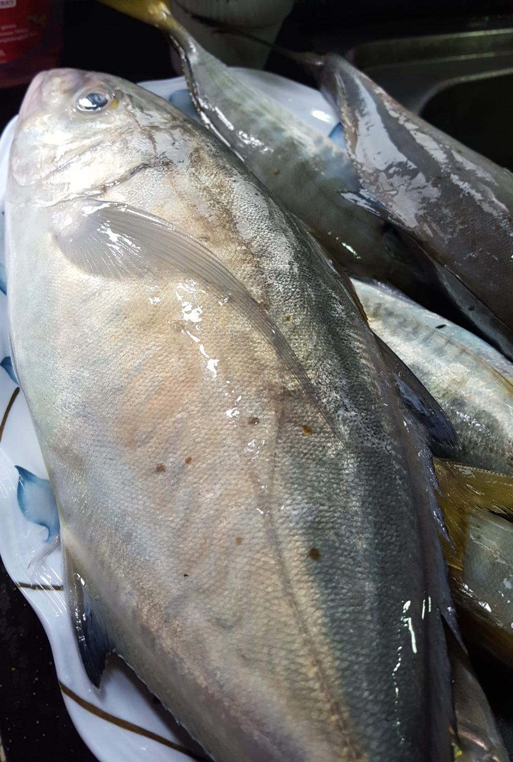 Cara Kenal Pasti Ikan Guna Formalin Pengawet Bahaya Agar Nampak Segar ...