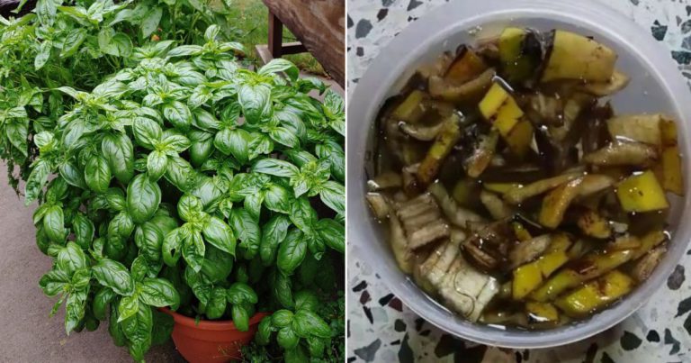 Buat Sendiri Ayam Goreng Seringgit. Ikut Tip Ini Untuk Dapat Salutan ...