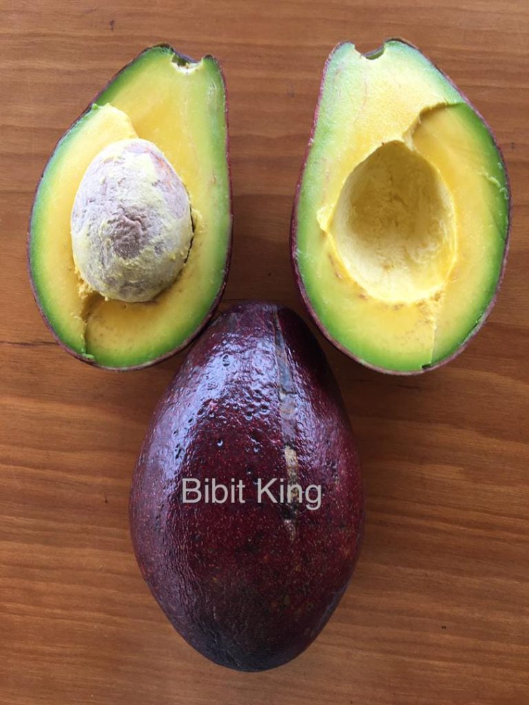 Dah Beli Buah Avocado Biji Jangan Buang, Boleh Semai Jadi Benih. Ini ...