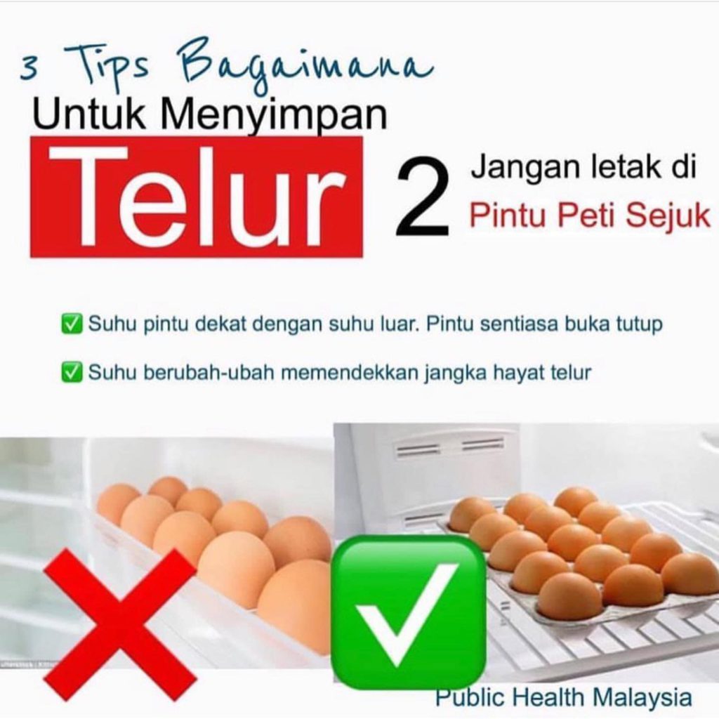 3 Cara Betul Simpan Telur, Paling Penting Jangan Letak Dekat Pintu Peti ...