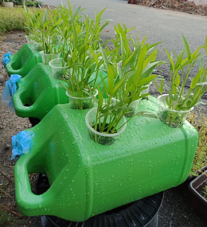 DIY Set Hidroponik Bajet, Tak Sampai RM20. Boleh Tanam Macam-Macam Sayur
