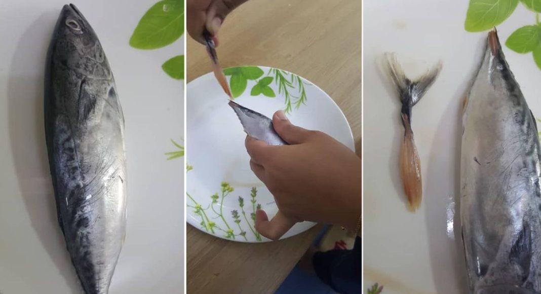 Buat Sendiri Sosej Homemade Tanpa Lemak, Pengawet & Perasa Tambahan ...