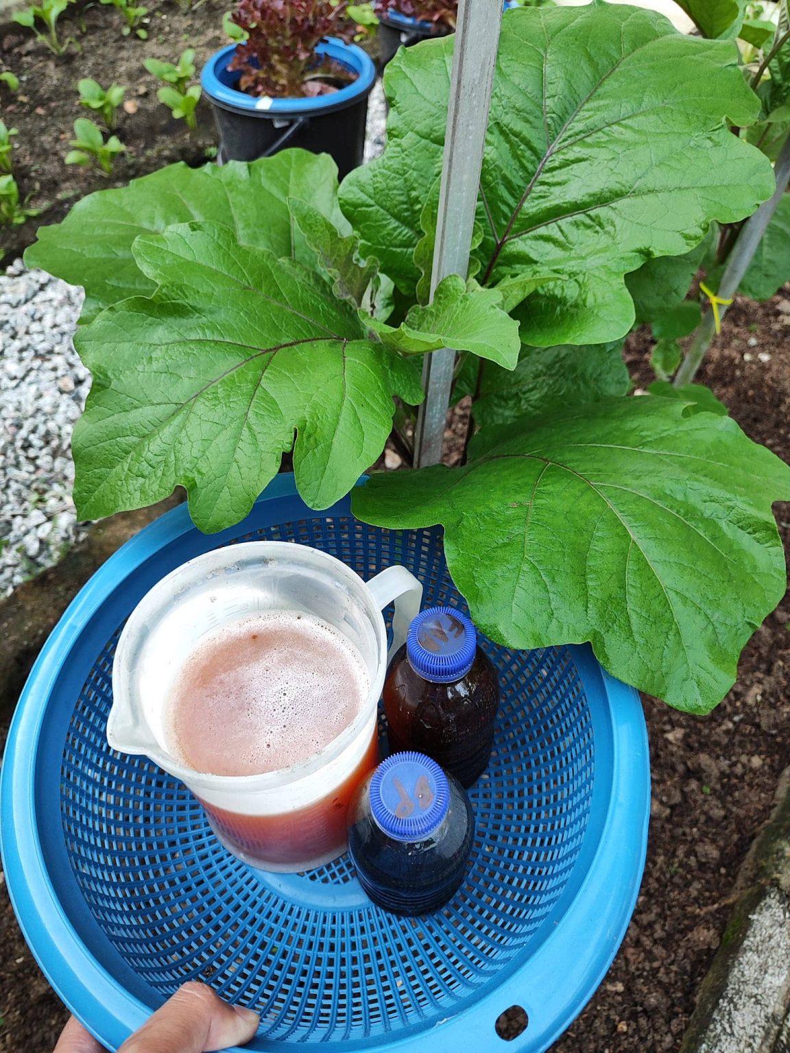 Kenali Jenis-jenis Butter Yang Sesuai Diguna Untuk Buat Biskut Raya ...