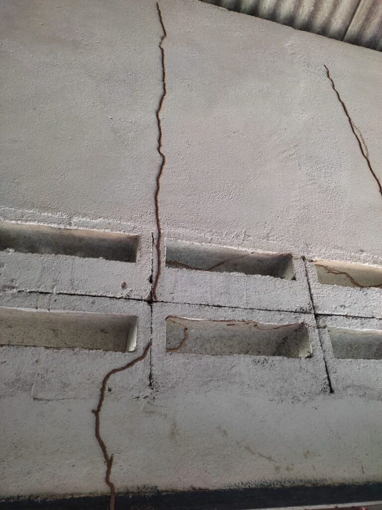 4 Tanda Anai-Anai Telah Menjajah Rumah, Lakukan Langkah Ini Segera ...