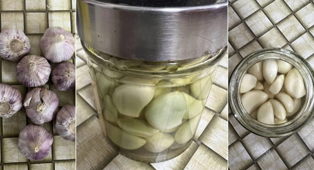 Tip Tanam Pokok Kesum Dalam Air, Kalau Nampak Daun Mula Kuning Kena ...