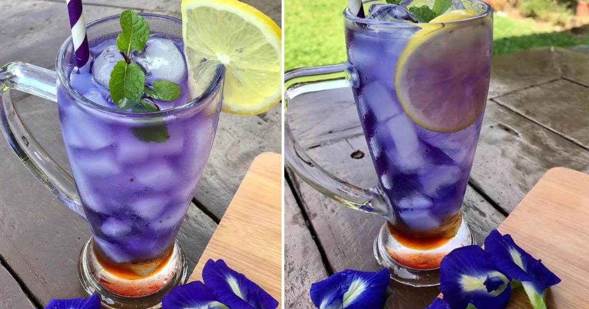 Air Bunga Telang Lemon Madu, Sedap & Menyegarkan Bila Minum Waktu Buka ...