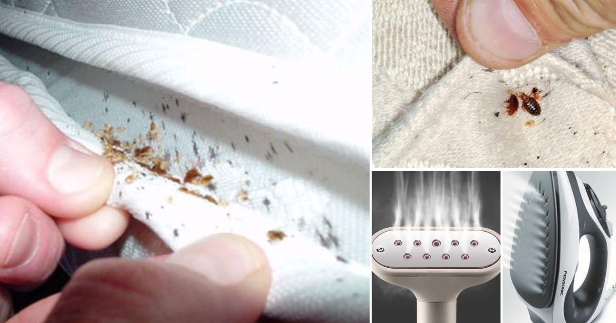 Cara Mudah Hapuskan Pepijat Pada Tilam, Guna Steam Iron