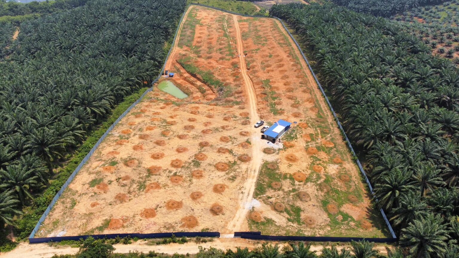 Nak Buat Kebun Durian Tak Susah, Cuma Jangan Gelojoh Kena Sediakan 7 ...